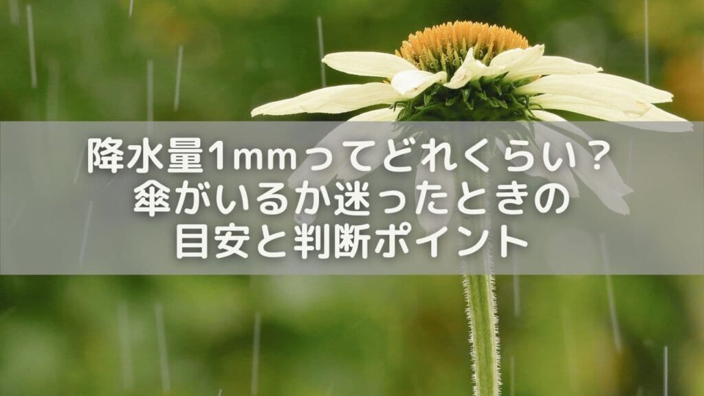 降水量1mmはどれくらいの雨？傘がいるか迷ったときの目安と判断ポイント | くらしのちえぶろぐ。