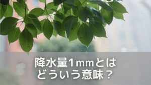 降水量1mmはどれくらいの雨？傘がいるか迷ったときの目安と判断ポイント | くらしのちえぶろぐ。