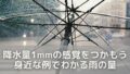 降水量1mmはどれくらいの雨？傘がいるか迷ったときの目安と判断ポイント | くらしのちえぶろぐ。